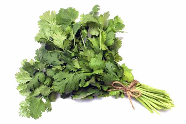 Peršun – Urgan Group