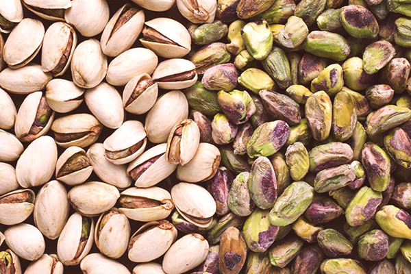 Pistacija oljuštena – Urgan Group